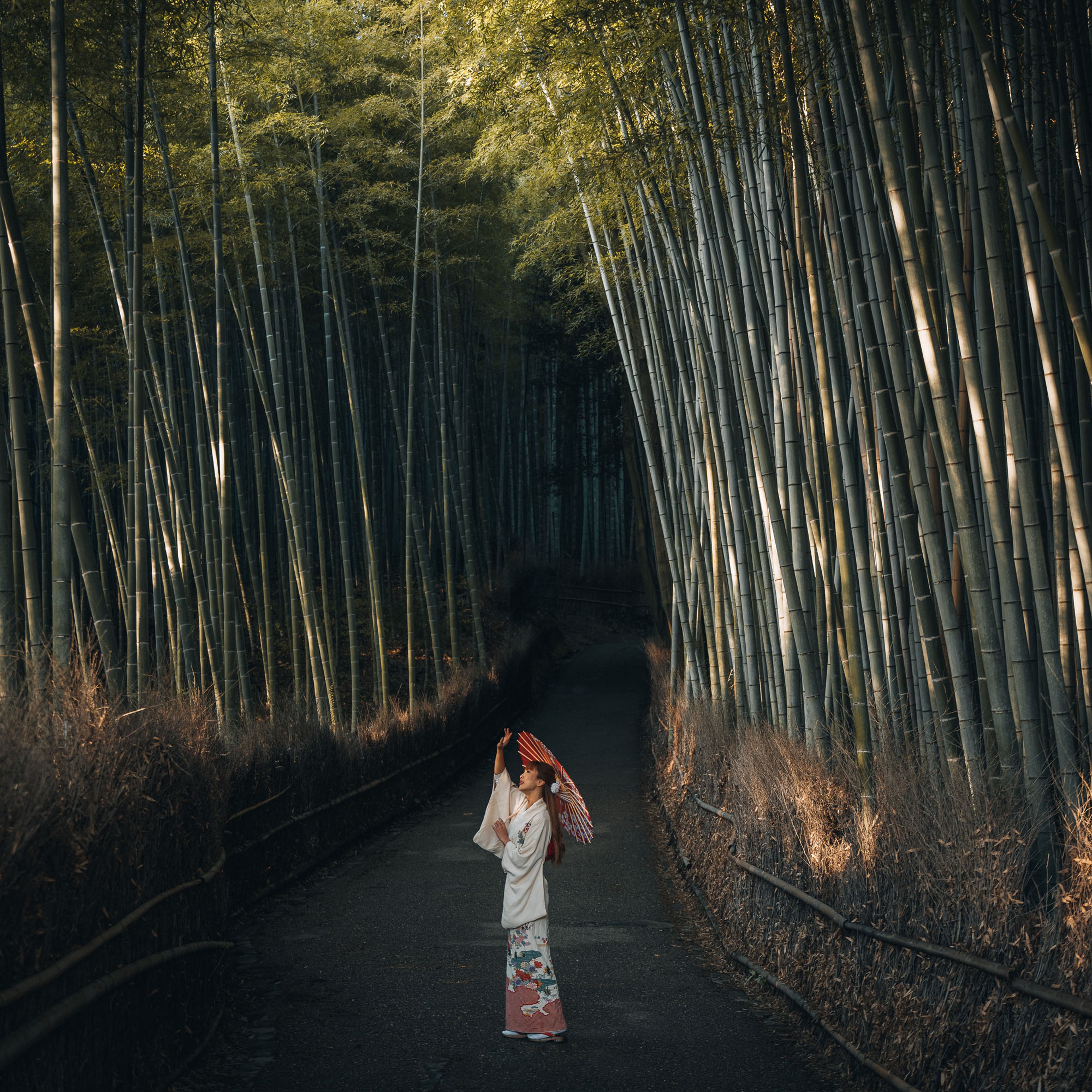 Japan Equities | Baillie Gifford